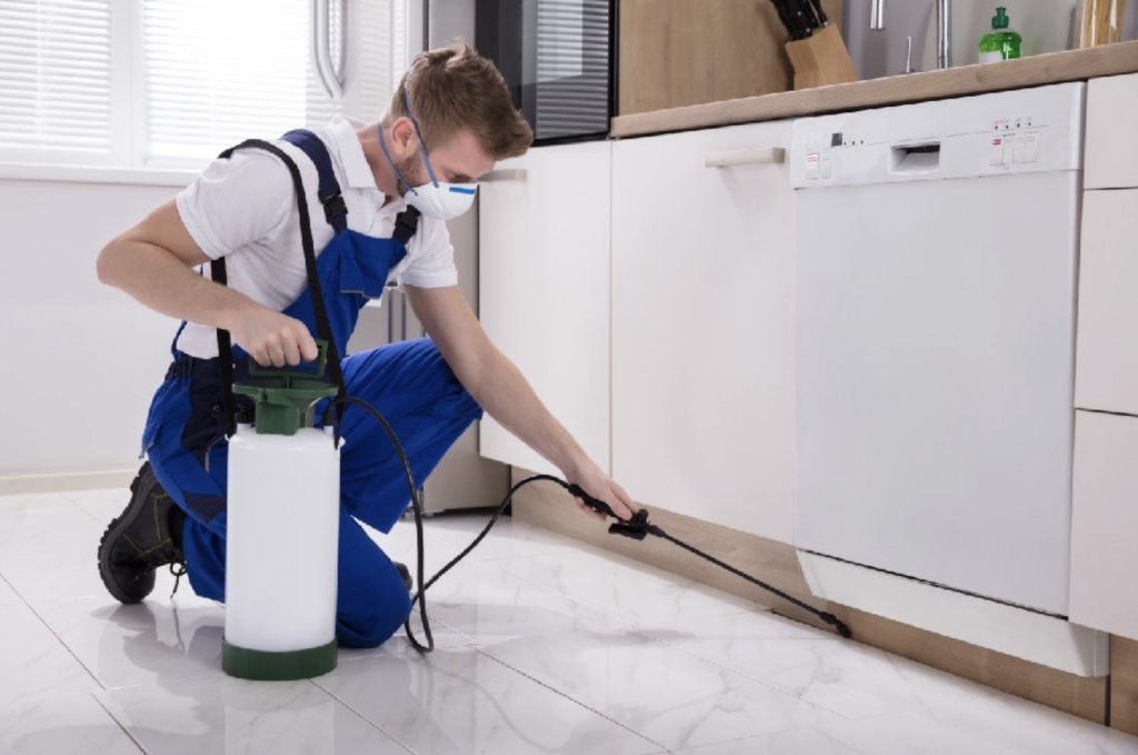 Five Benefits of Home Pest Control Services - Buzzy Tricks
